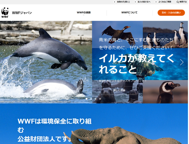 WWFジャパン 自然保護室 森林グループ 古澤 千明さん｜FSC応援プロジェクト